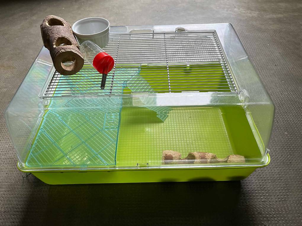 Cage pour petits rongeurs im Kanton Waadt - anibis.ch