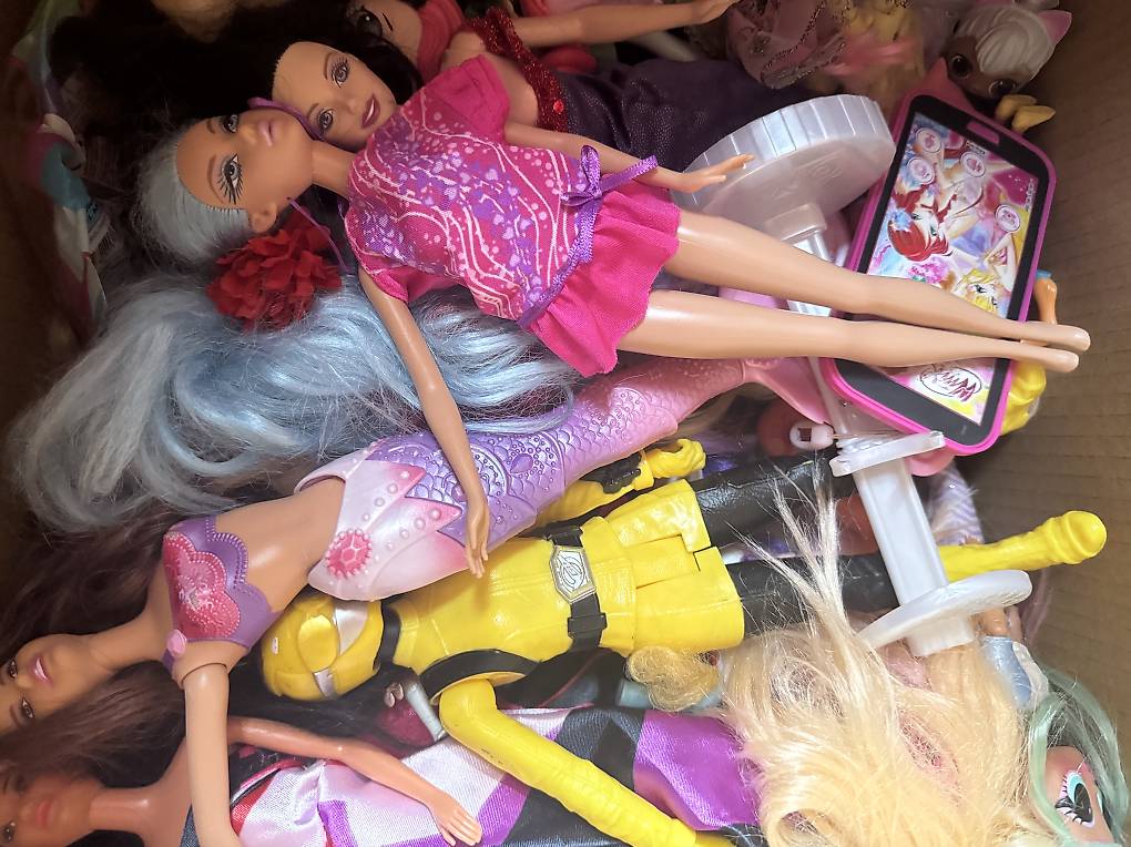 Barbies, little poneys, monster high + château Canton Genève - anibis.ch