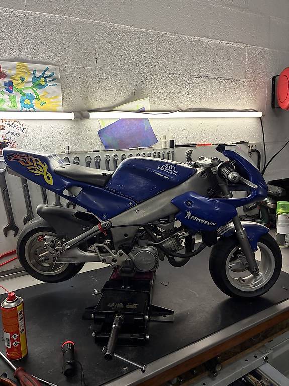 Polini 911 Dream bike H2O Canton Neuchâtel - anibis.ch