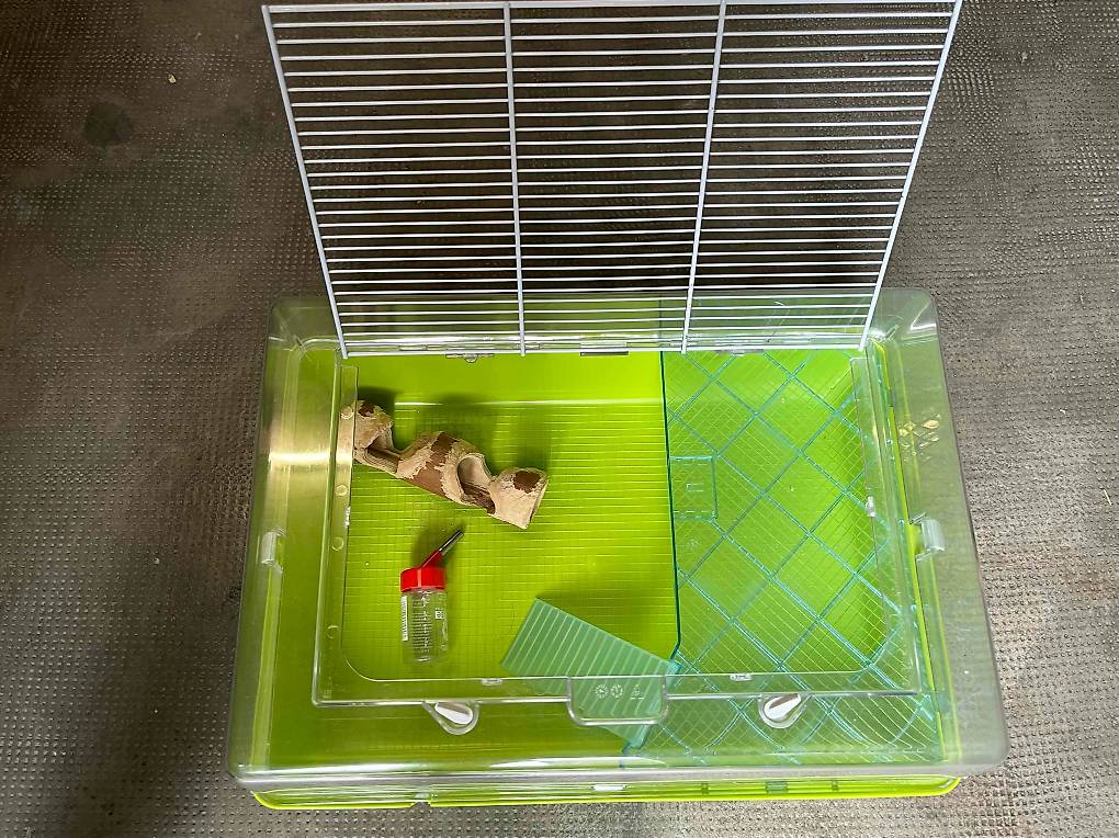 Cage pour petits rongeurs im Kanton Waadt - anibis.ch