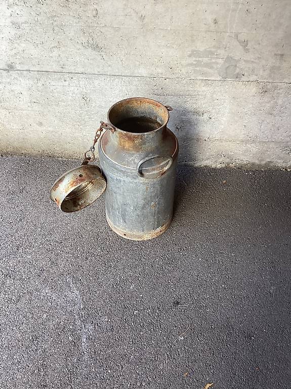 Boille à lait en acier Canton Vaud - anibis.ch