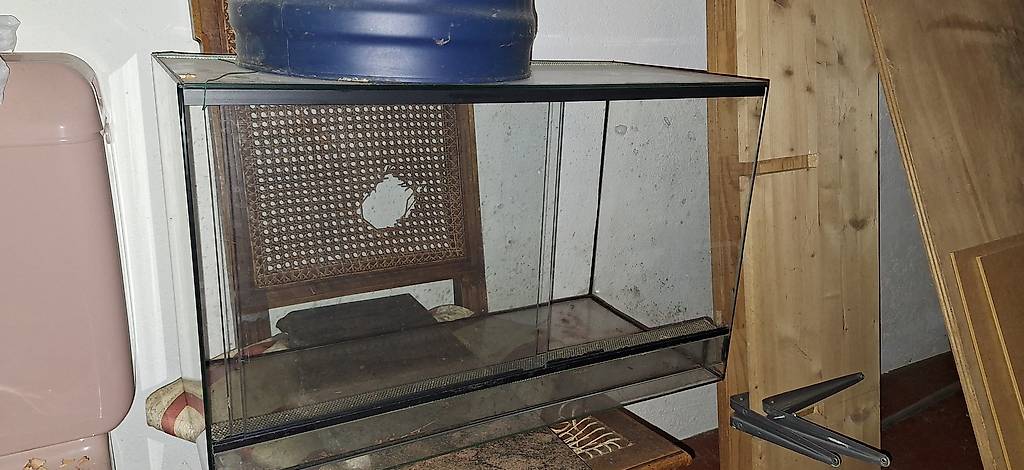 Terrarium Canton Valais - anibis.ch