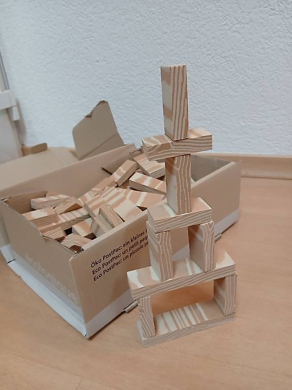 Jeu de construction Canton Fribourg - anibis.ch