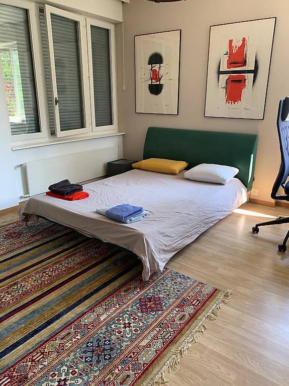 Villa luxe in a quiet green area Canton Genève louer - anibis.ch